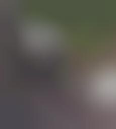 Gritty Graphic Illustrations : Jean-Claude Claeys