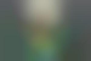 Rocker-Chic Collaboration Projects : Versace for H&M Campaign