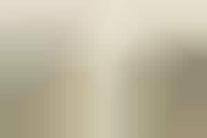 Distorted Architecture Captures : Twisted by Nicholas Kennedy Sitton