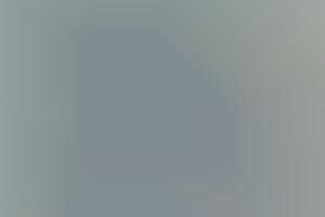 Four-in-One Hotels : hani rashid studio