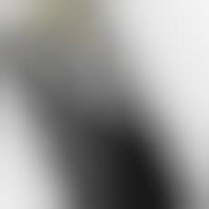 High-Tech Precision Razors : Remington Touch Control Trimmer