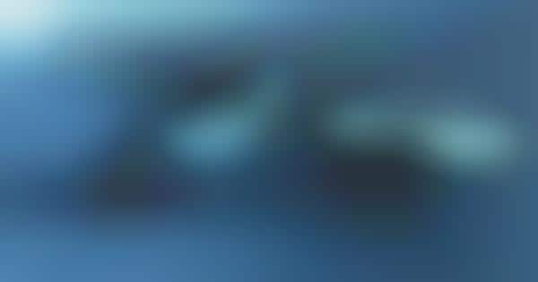 Flexible Arctice Exploration Autos : Polar Utility Vehicle