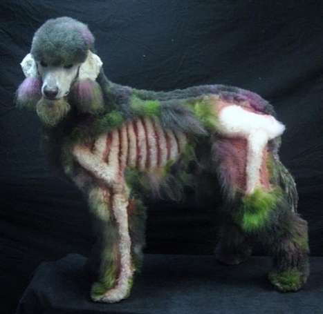 Gruesomely Groomed Pooches : Cindy the Zombie Poodle