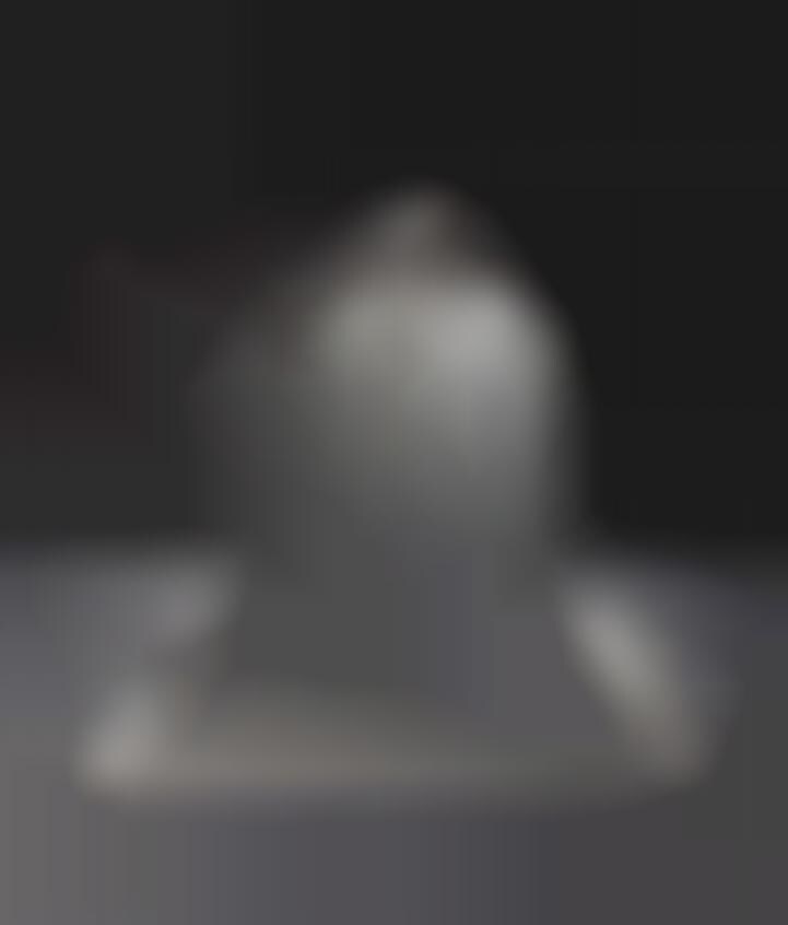 100 Self-Destructing Captures