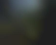 The Ring House: Best Private House