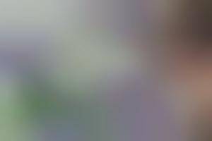 Genetically Modified Flowers: Blue Roses