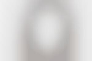 Purse for Gluttonous Women: Gilli Nutella Cube