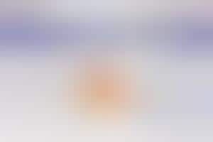 Free Fee Banking : Electric Orange Checking Account