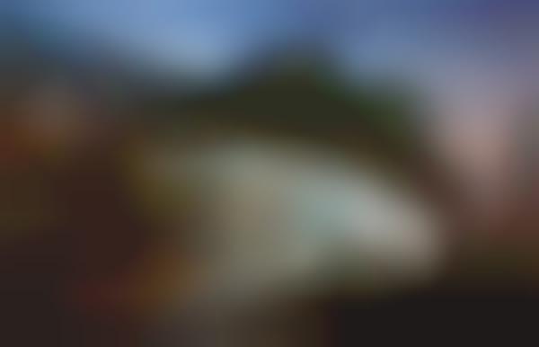 Coral-Like Subway Canopies : Donostialdea Metro-Station