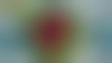 Tactile 3D Teaching Toys : oblo puzzle sphere