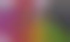 Purse Protection Systems : Handbag Security Safe