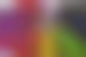 Purse Protection Systems : Handbag Security Safe