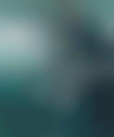 Provocative Office Pictorials : Risky Business by Benjamin Kanarek