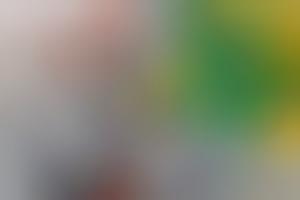 Funky Funhouse Architecture : "Youth Factory"