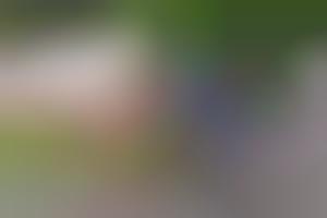 Humanized Squirrel Captures : Kathy Pruyn