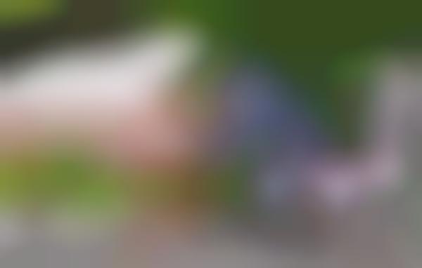 Humanized Squirrel Captures : Kathy Pruyn