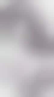 Indian Princess Portraits : Lili Lu Fashion Illustrations