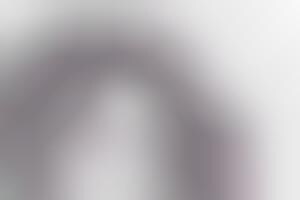 Indian Princess Portraits : Lili Lu Fashion Illustrations