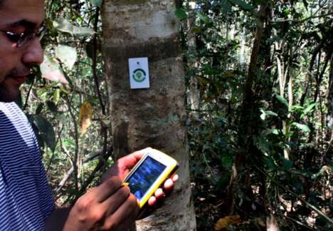 Tree-Tracking Chips : Green Action Institute