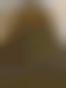 Climbable Coiffed Creations : Jessica Wohl 'Hairy Staircase'