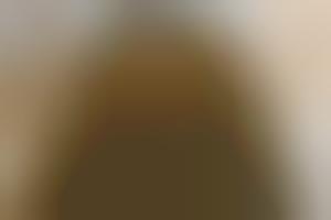 Climbable Coiffed Creations : Jessica Wohl 'Hairy Staircase'