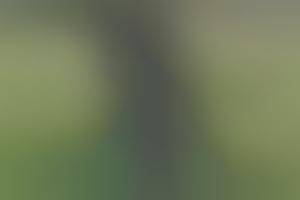 Armed Infant Carriages : Tactical Baby Strollers