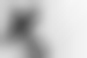 Machine-Animal Illustrations : nicolas lampert