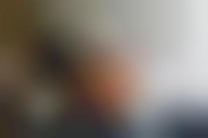 Intimate Designer Abodes : Jay Carroll Home