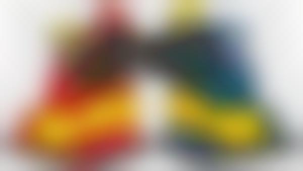 Robotic Bumper Cars : Bionic Bopper Car