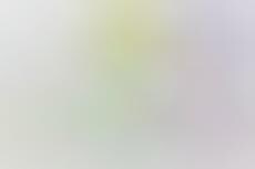 Delectable Lozenge Branding : Aroxa Packaging