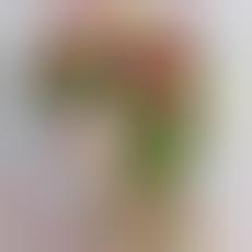 Raw Food Headpieces : Hanayui by Takaya Hanayuishi