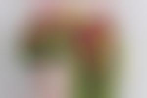 Raw Food Headpieces : Hanayui by Takaya Hanayuishi