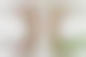 Matrimony-Inspired Furniture : Wedding Stool