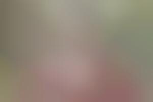 Morbid Meat Suit Paintings (UPDATE) : Mark Ryden Covers for Juxtapoz