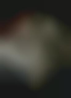 Bar-Fighting Burlesque Shoots : Risque Burlesque Shoots