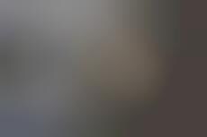 Mirrored Acrylic Lighting : Pinecone Pendant Lamp