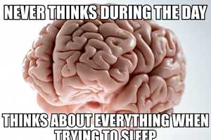 Irritating Mind Image Macros : Scumbag Brain Meme