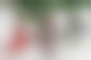 Undead Holiday Decor : Zombie Christmas Ornaments