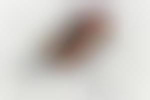 Eco-Friendly Disassembling Footwear : Designed for Deconstruction Shoe