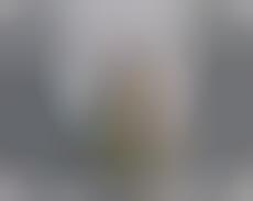 Retro Polaroid Pictorials : Davis Ayer