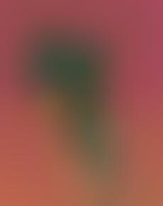 Beautiful Blooming Captures : Erwan Frotin