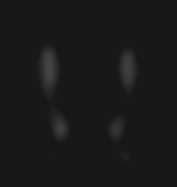 Ebony Faceless Portraits : Shape by Quentin Arnaud