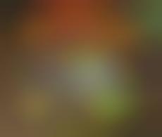 Childish Gardening Sets : Alessi Giardino