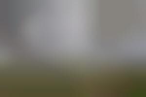 Bandaged Trunk Sculptures : Olsen Zander