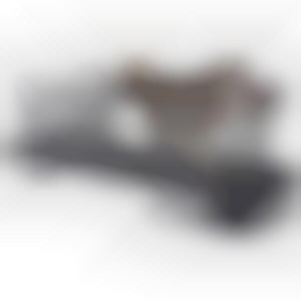 Dashing Doggy Exercise Gear : Fit Fur Life Treadmill