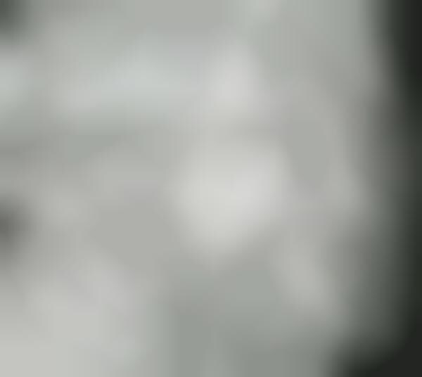 45 Intensely Juxtaposed Images