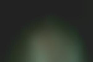 Lurid Lady Illustrations : Sam Schechter