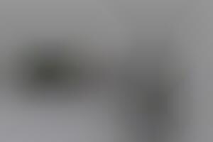 Compact Cylindrical Cameras : Vladimir Nikolic