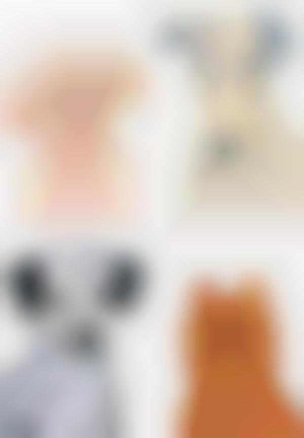 Dainty Pooch Portraits : Itsuko Suzuki