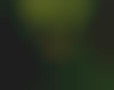 Flocking Object Photography : Swarms by Thomas Jackson